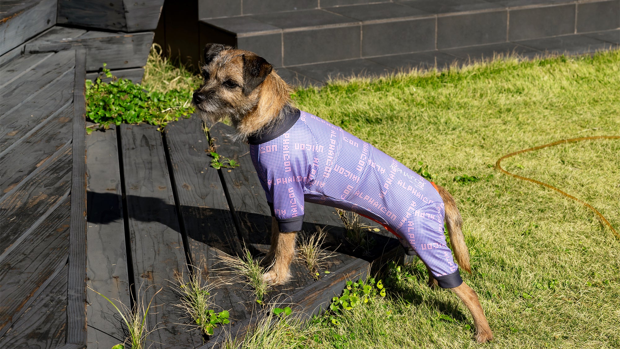 ALPHAICON Official Online Store