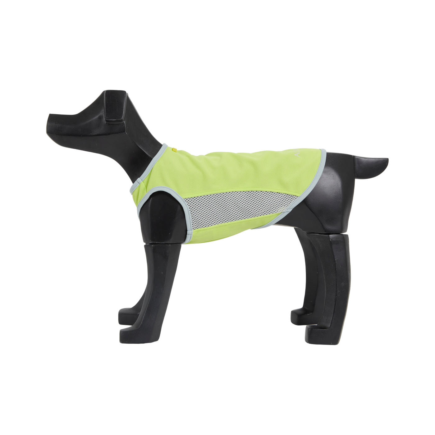 DOG WEAR