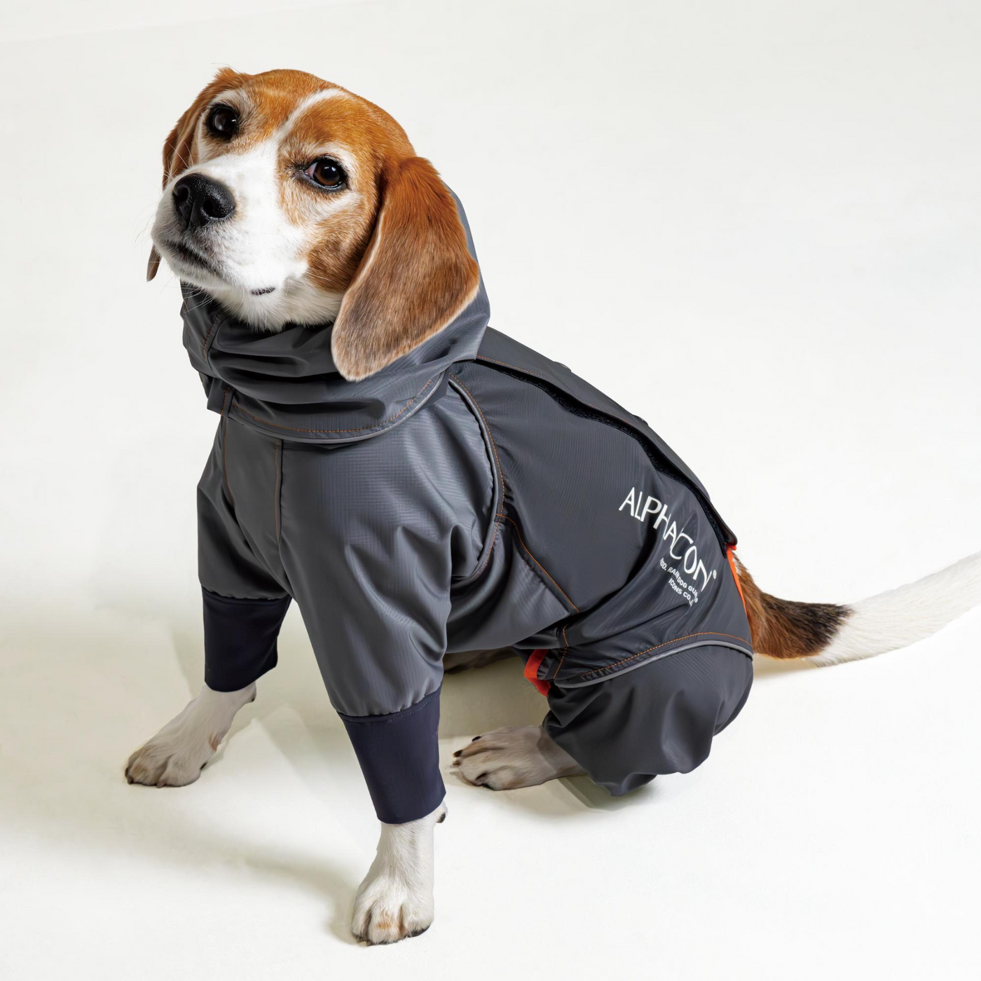 DOG WEAR