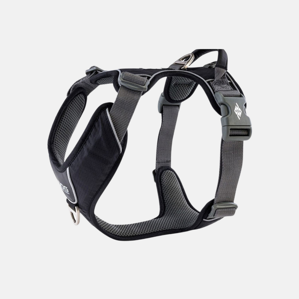 Comfort Walk Pro Harness Purple Passion