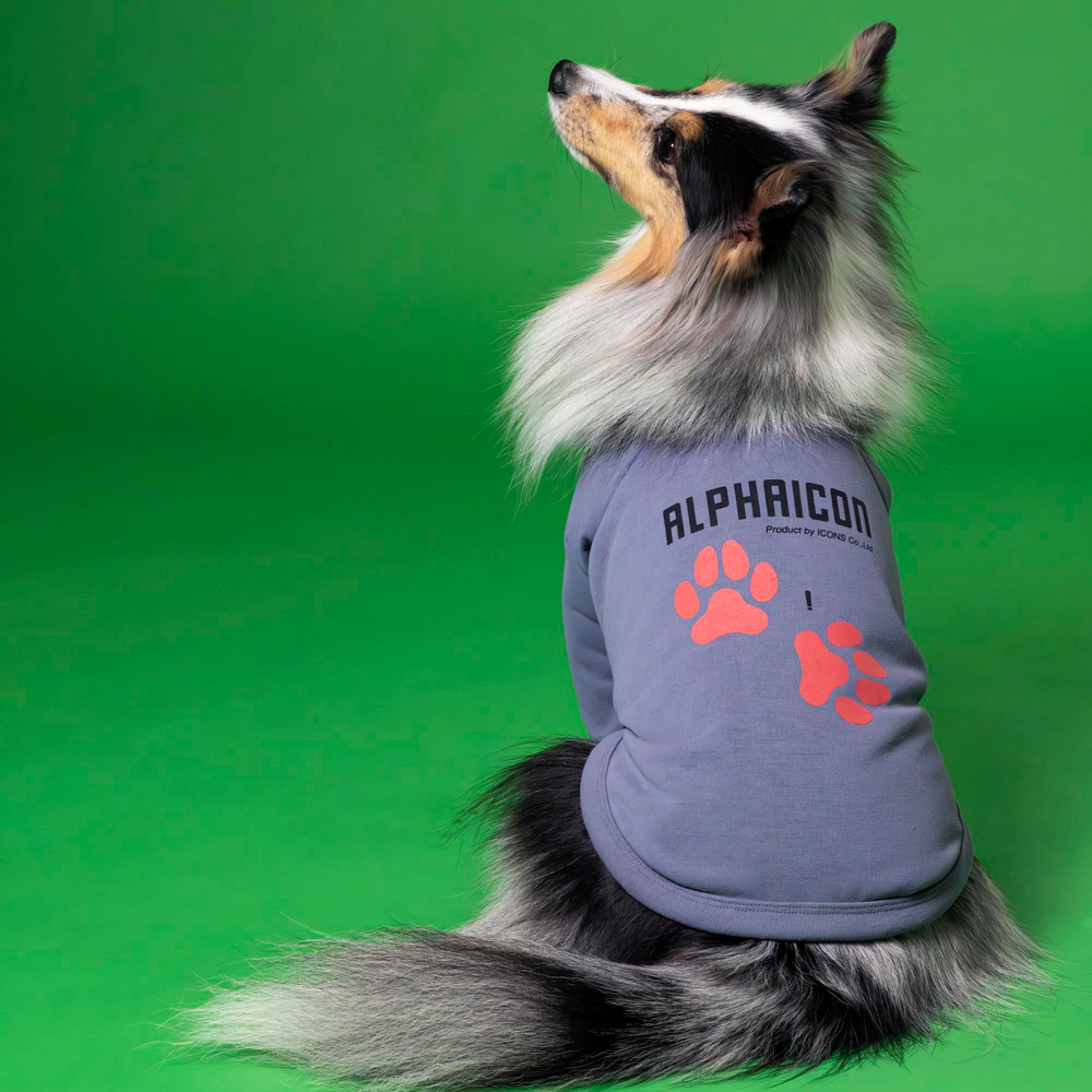 DOG WEAR
