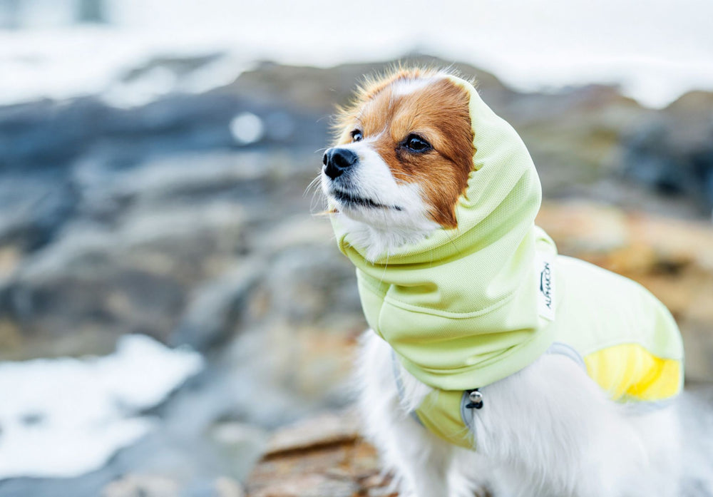 COOL SNOOD MELON